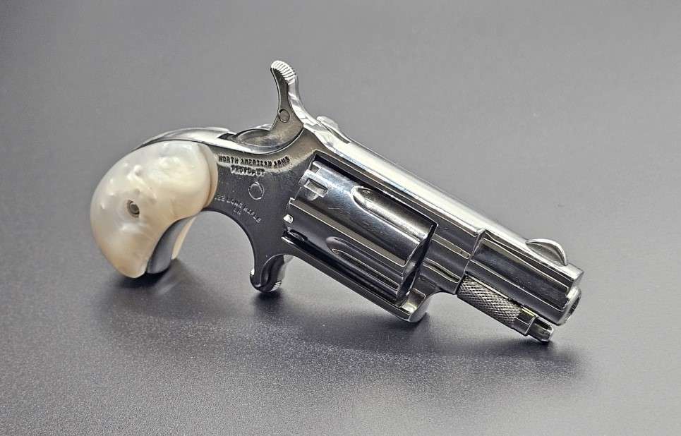 NAA THE GOOD HIGH POLISHED 22LR 5 SHOT 1 1/8 IN BARREL | BattleHawk Armory