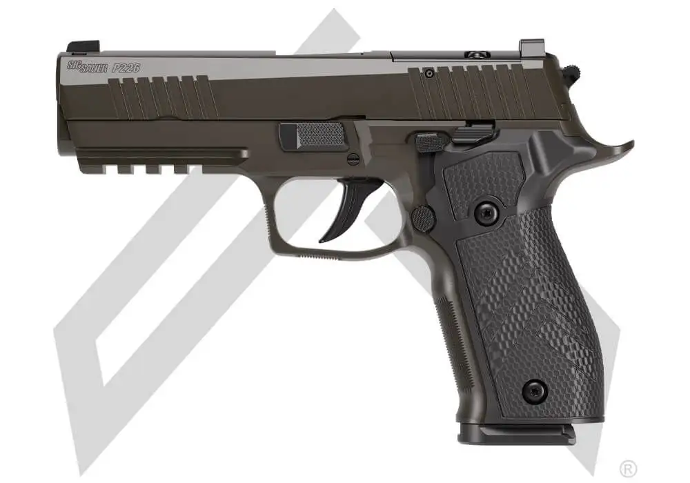 P226X Legion 9mm 4.4" SIGLOC PRO Grey 3/10 | Tombstone Tactical