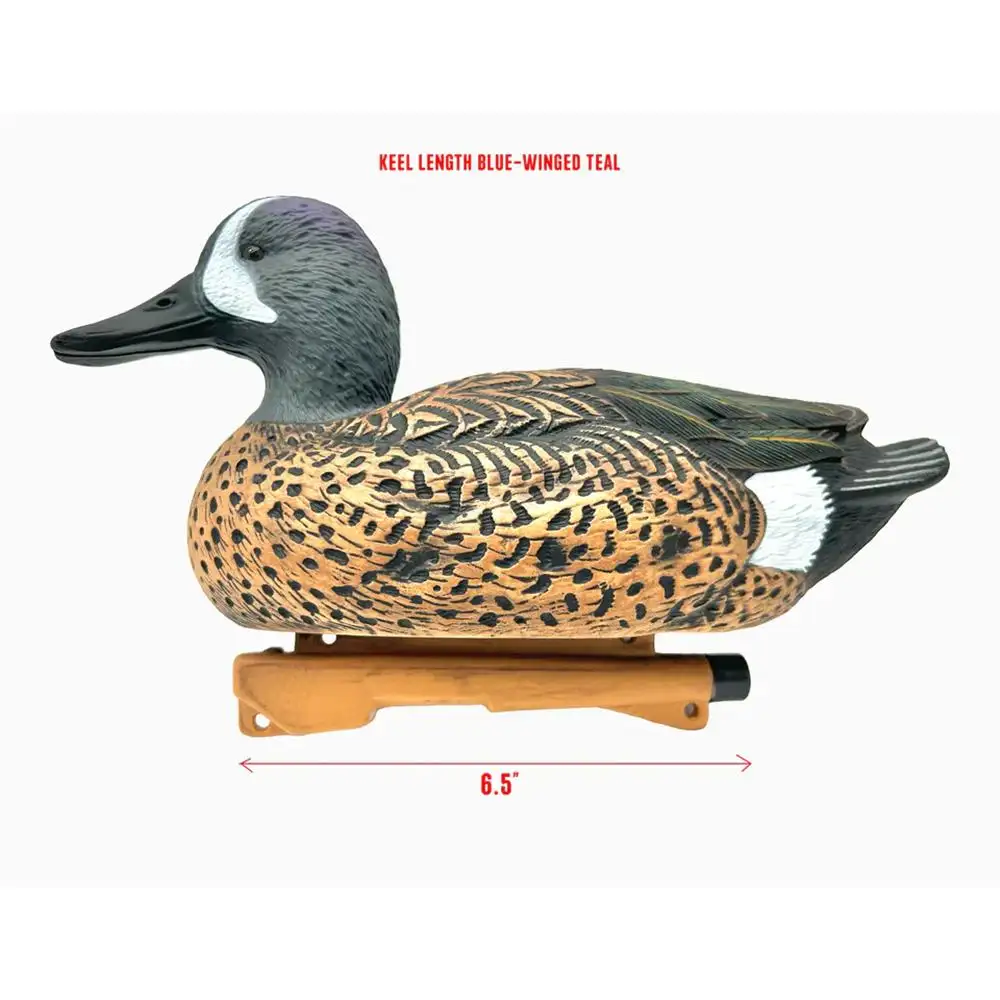 Rig Em Right Blue-Winged Teal - Twelve Pack - EVA | Guns 4 Less