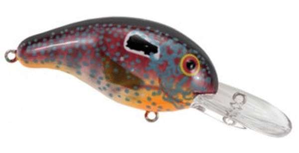 BANDIT DR 1/4 2" SUN PERCH | DTS TACTICAL