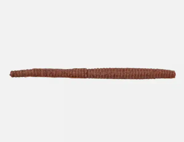 GULP FLOAT TROUT WORM NATRL 2 1/2IN | Guns 4 Less